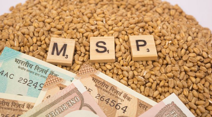 Cabinet hikes wheat MSP by Rs 150 to Rs 2,425/quintal for 2025-26 ...