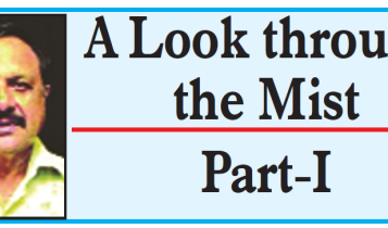 Evolving Gender Roles: Shifting Views and Family Dynamics – Statetimes