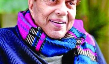 Gucchi Mushrooms: History, Culture, and Sustainability – Statetimes